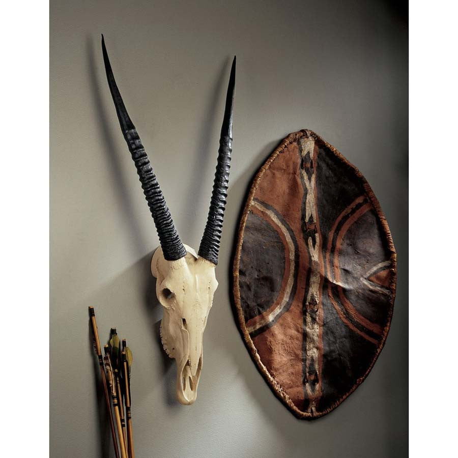 Gemsbok Skull