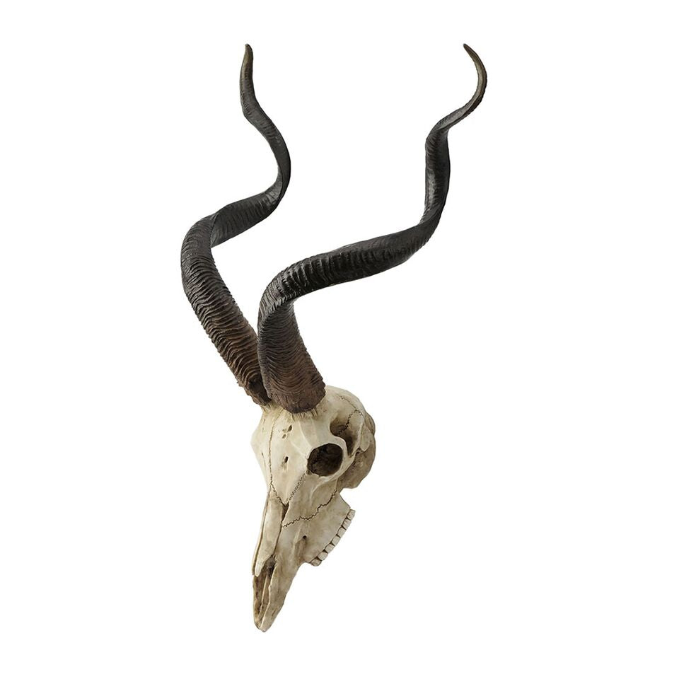 Kudu Skull Wall Plaque (Color) - Home Accent.