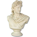 Apollo Bust Medium 22 H - Greek & Roman Busts | XoticBrands Home Decor